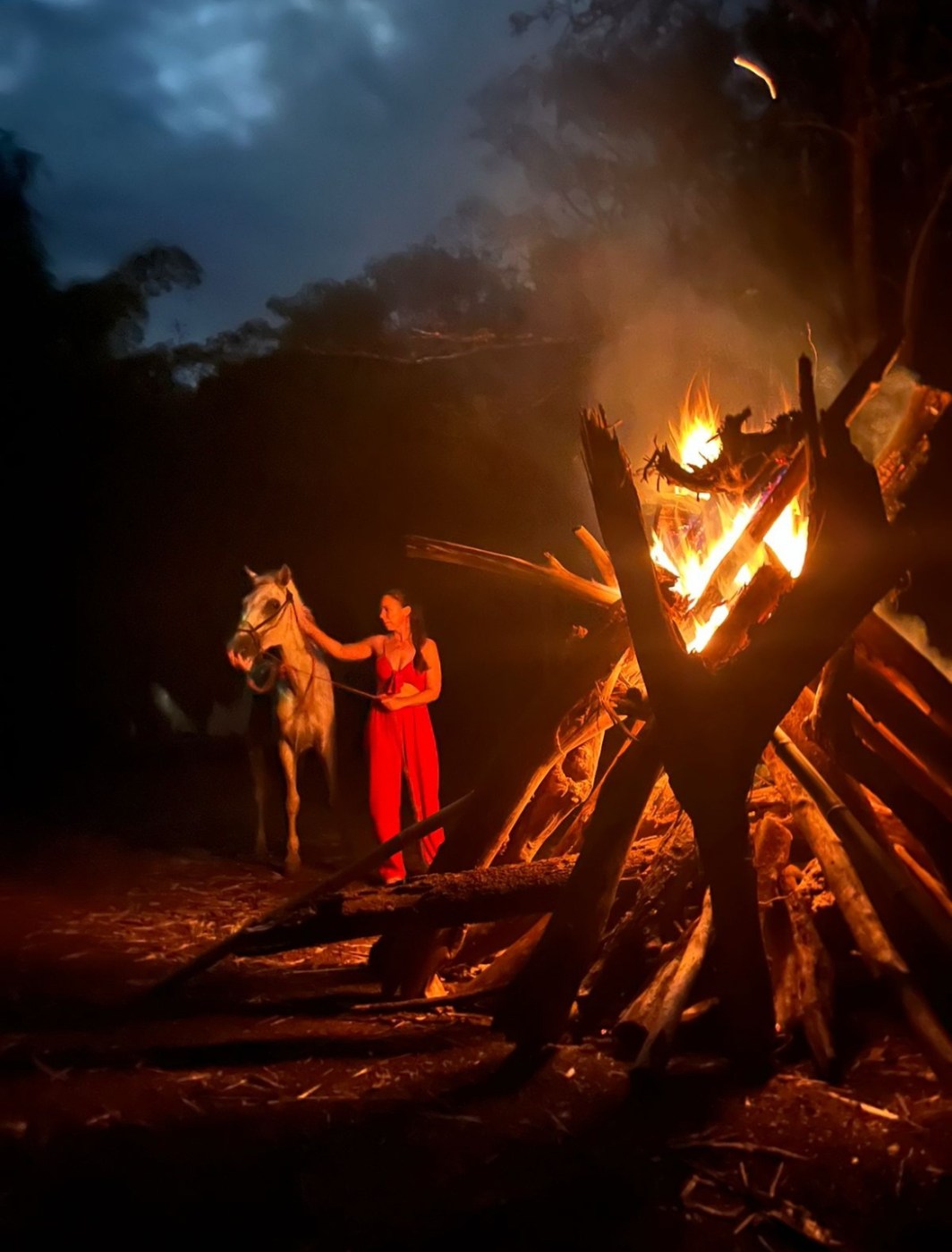 Jaco Night Jungle, Tractor Tour, Waterfall Walk, Bonfire & Dinner ...